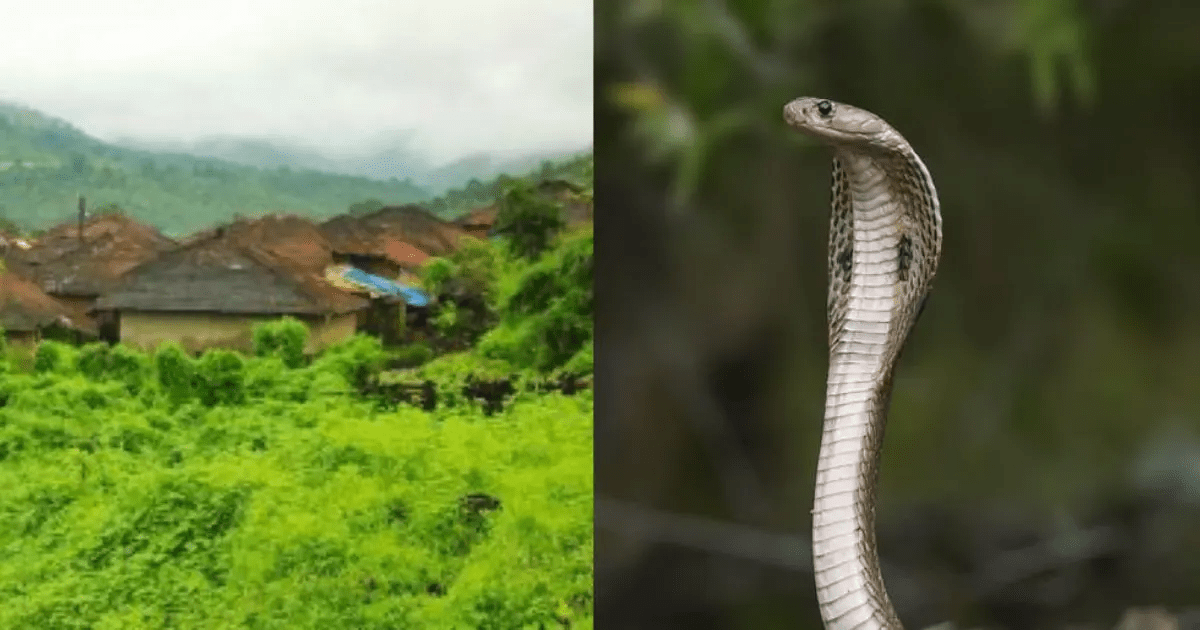 Shetpal Village: The Epic And Beautiful Land Of Cobras