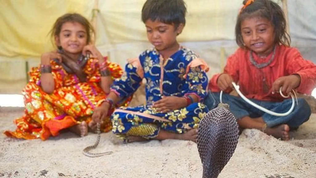 Shetpal Village: The Epic And Beautiful Land Of Cobras